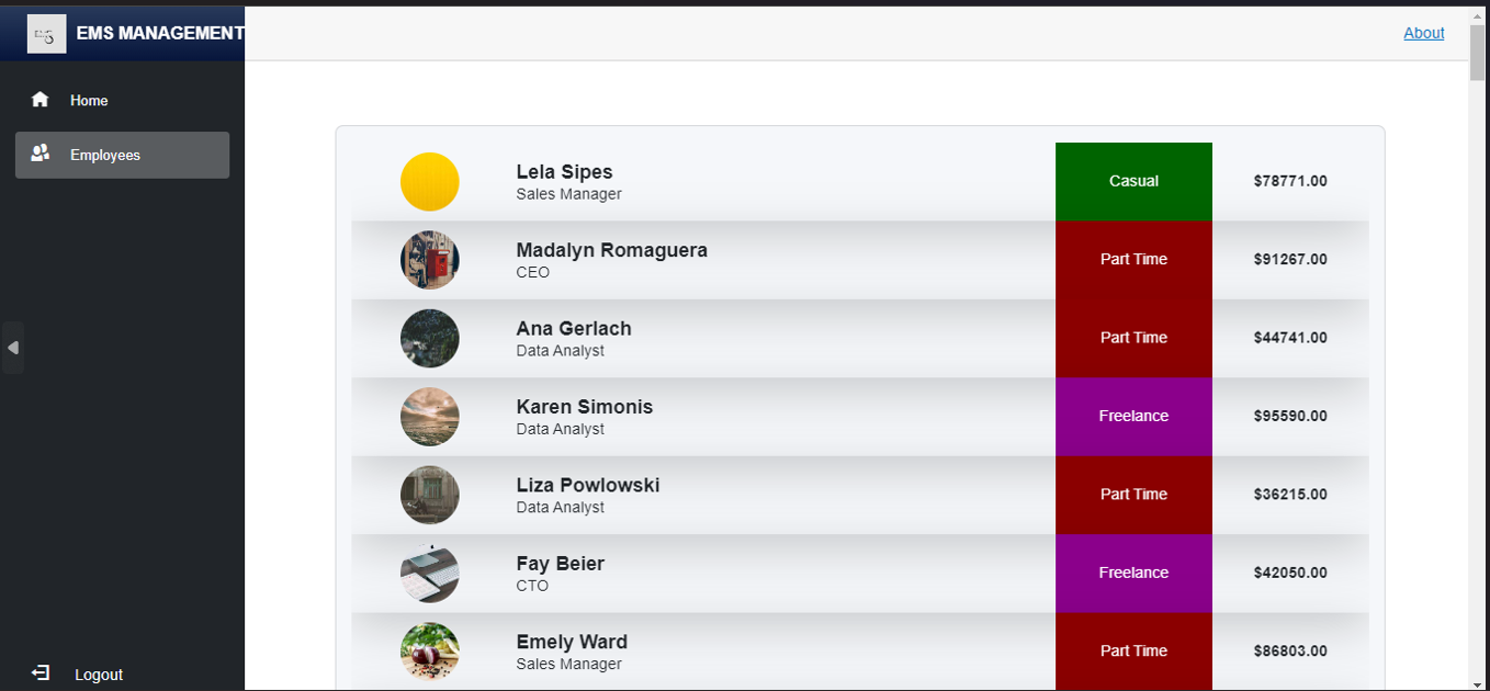 Vimal Pant Full Stack Developer